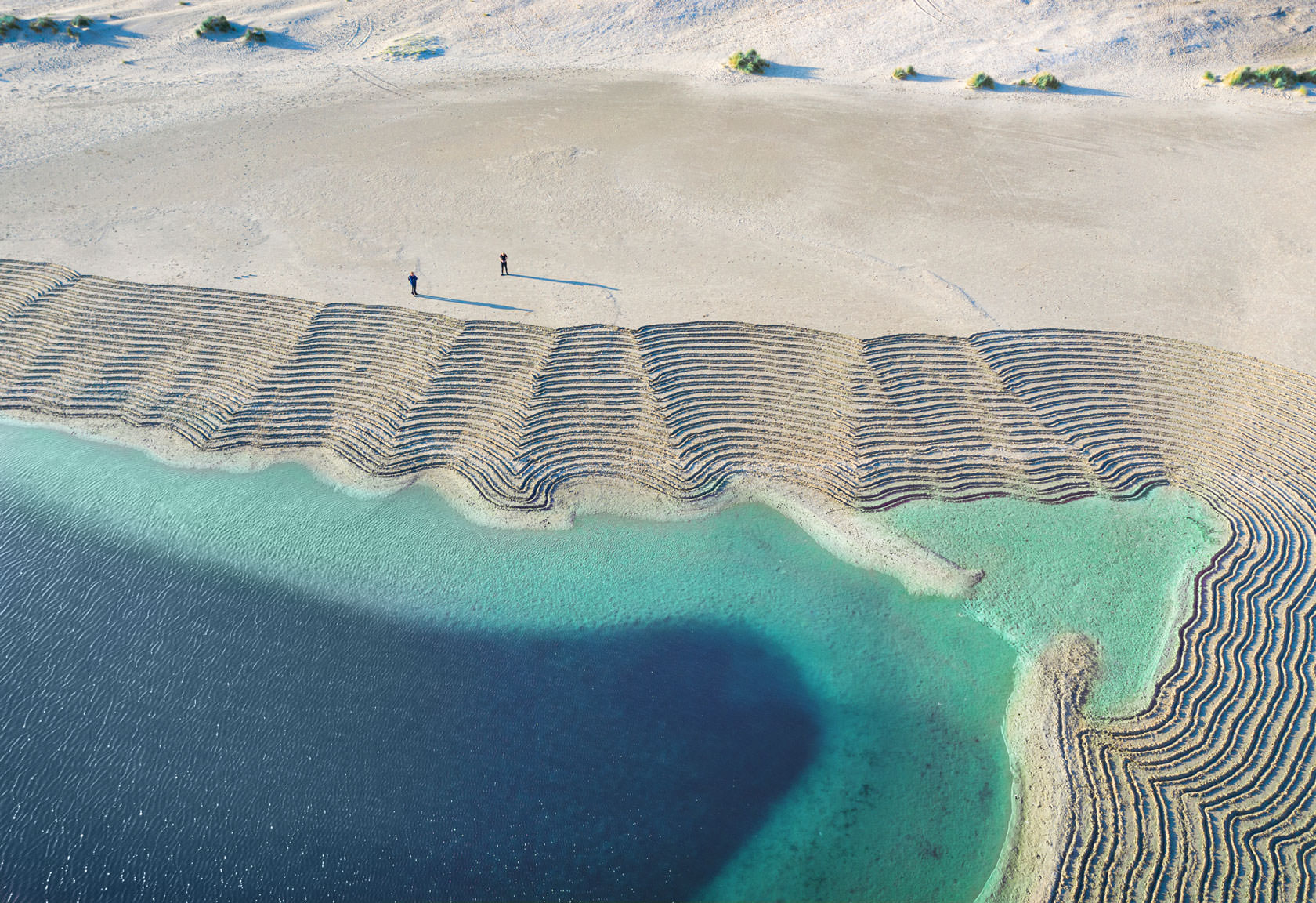 We are your companions: seven currents, one tide | currents&tides